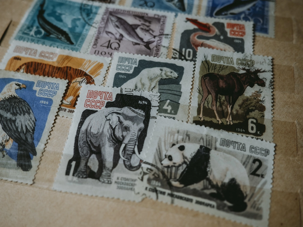 The Art of Stamp Collecting: Expert Tips for Building and Preserving ...